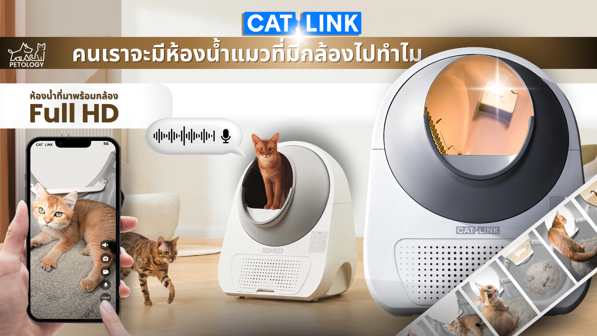 5 เรื่องที่ต้องรู้ว่าคนเราจะมีห้องน้ำแมวที่มีกล้องไปทำไม? CATLINK V.3 ...